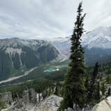 Burroughs Mountain Loop Trail, Washington - 2,388 Reviews, Map | AllTrails