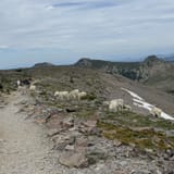 Burroughs Mountain Loop Trail, Washington - 2,388 Reviews, Map | AllTrails