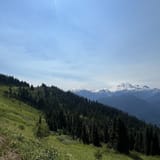 Excelsior Pass Trail, Washington - 668 Reviews, Map | AllTrails