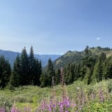 Excelsior Pass Trail, Washington - 668 Reviews, Map | AllTrails