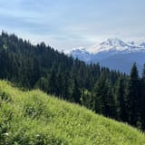 Excelsior Pass Trail, Washington - 668 Reviews, Map | AllTrails