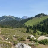Excelsior Pass Trail, Washington - 668 Reviews, Map | AllTrails