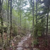 Gorge Path Trail, Maine - 817 Reviews, Map | AllTrails