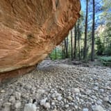 Secret Canyon Trail, Arizona - 152 Reviews, Map | AllTrails