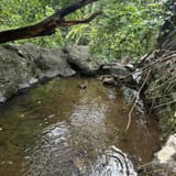 Rose River Trail, Virginia - 5,306 Reviews, Map | AllTrails