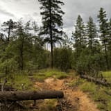 See Spring Trail, Arizona - 873 Reviews, Map | AllTrails