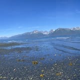 Tonsina Creek Trail, Alaska - 1,740 Reviews, Map | AllTrails