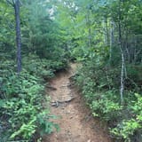 Auxier Ridge Trail to Courthouse Rock, Kentucky - 2,390 Reviews, Map ...