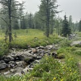 Healy Pass Trail, Alberta, Canada - 1,569 Reviews, Map | AllTrails
