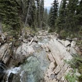 Healy Pass Trail, Alberta, Canada - 1,569 Reviews, Map | AllTrails