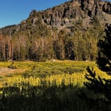 Tamarack Peak Loop, Nevada - 1,083 Reviews, Map | AllTrails