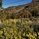 Tamarack Peak Loop, Nevada - 1,083 Reviews, Map | AllTrails