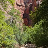 Spring Creek Canyon, Utah - 1,391 Reviews, Map | AllTrails