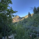 Neff's Canyon Loop, Utah - 3,131 Reviews, Map | AllTrails