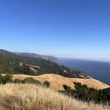 Timber Top and Boronda Trail, California - 769 Reviews, Map | AllTrails