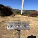 Timber Top and Boronda Trail, California - 769 Reviews, Map | AllTrails