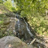 Lake to Lake Trail Loop via Lacamas Creek, Washington - 2,676 Reviews ...