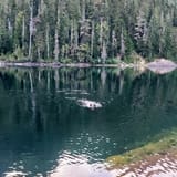 Mildred Lakes Trail, Washington - 200 Reviews, Map | AllTrails