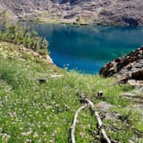 Twenty Lakes Basin Loop, California - 494 Reviews, Map | AllTrails