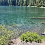 Cora Lake Trail, Washington - 270 Reviews, Map | AllTrails