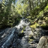 Cora Lake Trail, Washington - 270 Reviews, Map | AllTrails