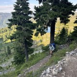 High Divide and Seven Lakes Basin Loop, Washington - 1,357 Reviews, Map ...