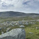 Kesugi Ridge (Curry Ridge) Trail, Alaska - 223 Reviews, Map | AllTrails