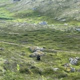 Kesugi Ridge (Curry Ridge) Trail, Alaska - 223 Reviews, Map | AllTrails