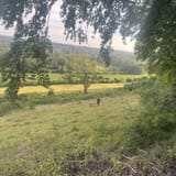 Surrey Three Peaks - Boxhill, Holmbury Hill, Leith Hill, Surrey ...
