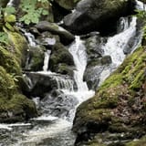 Arthog Waterfalls Circular, Gwynedd, Wales - 23 Reviews, Map | AllTrails