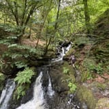 Arthog Waterfalls Circular, Gwynedd, Wales - 23 Reviews, Map | AllTrails