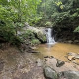 Cascade Falls Loop Trail, Maryland - 2,834 Reviews, Map | AllTrails