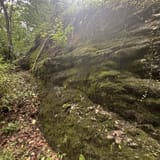 Cascade Falls Loop Trail, Maryland - 2,883 Reviews, Map | AllTrails