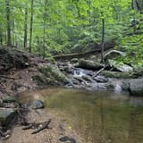 Cascade Falls Loop Trail, Maryland - 2,834 Reviews, Map | AllTrails