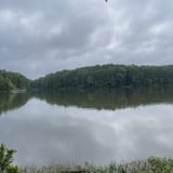 Lake Pine Loop, North Carolina - 1,291 Reviews, Map | AllTrails