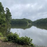 Lake Pine Loop, North Carolina - 1,291 Reviews, Map | AllTrails