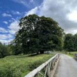 Alnwick and Hulne Park Circular, Northumberland, England - 88 Reviews ...