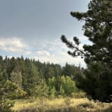 Twin Owls via Lumpy Ridge Loop, Colorado - 1,528 Reviews, Map | AllTrails