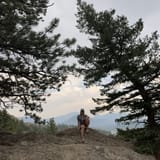 Twin Owls via Lumpy Ridge Loop, Colorado - 1,528 Reviews, Map | AllTrails