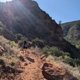 Bell Trail, Arizona - 3,530 Reviews, Map | AllTrails