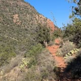 Bell Trail, Arizona - 3,530 Reviews, Map | AllTrails