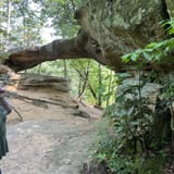 Princess Arch Trail, Kentucky - 1,440 Reviews, Map | AllTrails