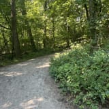 Cumberland Monastery Trail, Rhode Island - 2,066 Reviews, Map | AllTrails