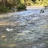 Blue Spring Trail, Missouri - 194 Reviews, Map | AllTrails
