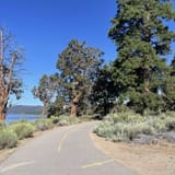 Alpine Pedal Path Trail, California - 908 Reviews, Map | AllTrails