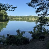 Raven Rock Loop Trail, South Carolina - 2,430 Reviews, Map | AllTrails