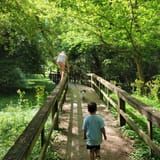 Heath Lake Loop, Georgia - 409 Reviews, Map | AllTrails