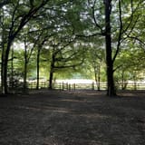Banstead Woods Nature Circular, Surrey, England - 673 Reviews, Map ...