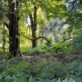 Banstead Woods Nature Circular, Surrey, England - 673 Reviews, Map ...