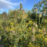 Banstead Woods Nature Circular, Surrey, England - 703 Reviews, Map ...